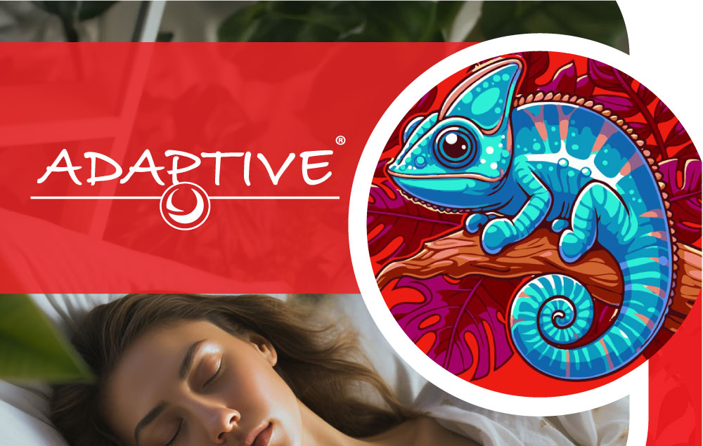 Adaptive - DesleeMattex