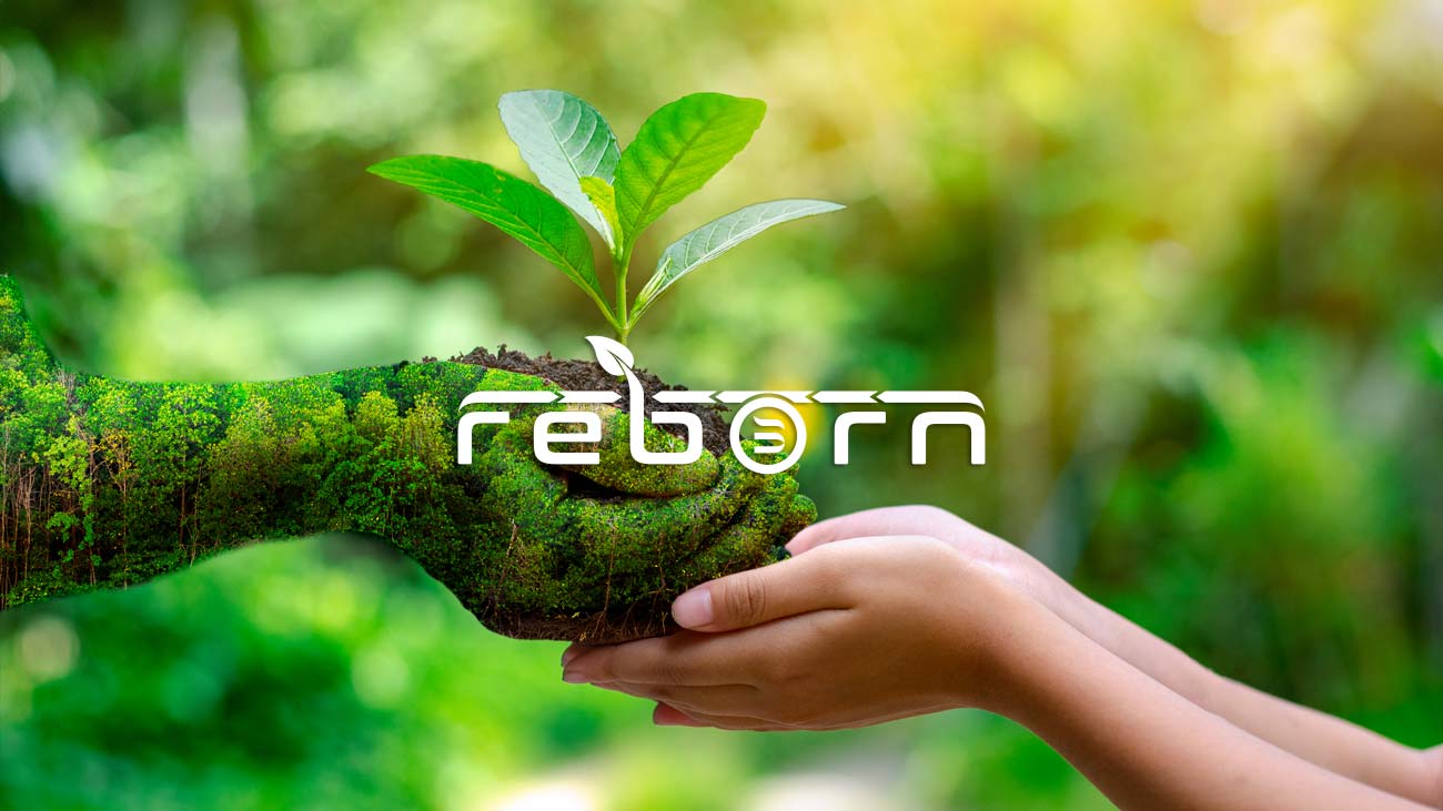 Reborn - DesleeMattex